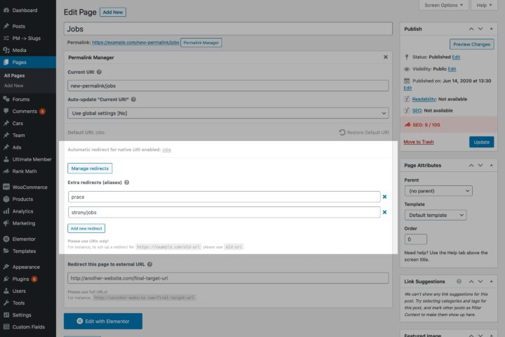 Permalink Manager Pro | URL Editor for WordPress SEO